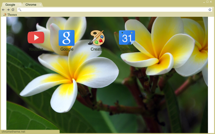 Frangipani Flowers Chrome Theme - ThemeBeta