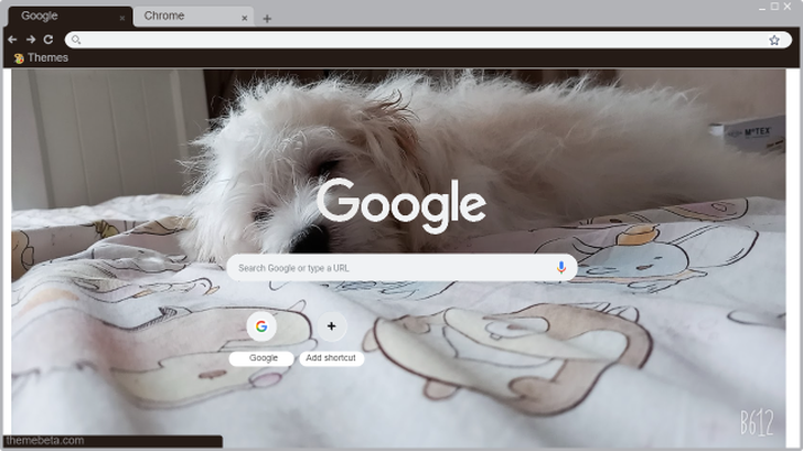 puppy Chrome Theme - ThemeBeta